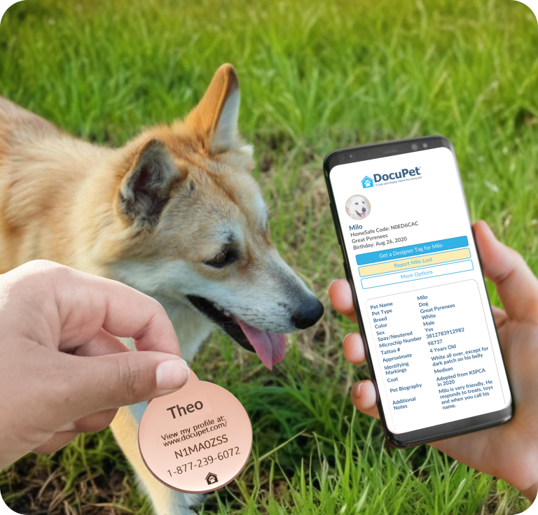 About DocuPet | Innovating Pet Licensing & Reunification